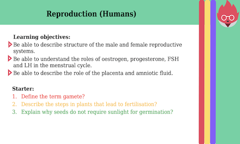 IGCSE Edexcel Biology (9-1) Reproduction (Humans) | Mr Science